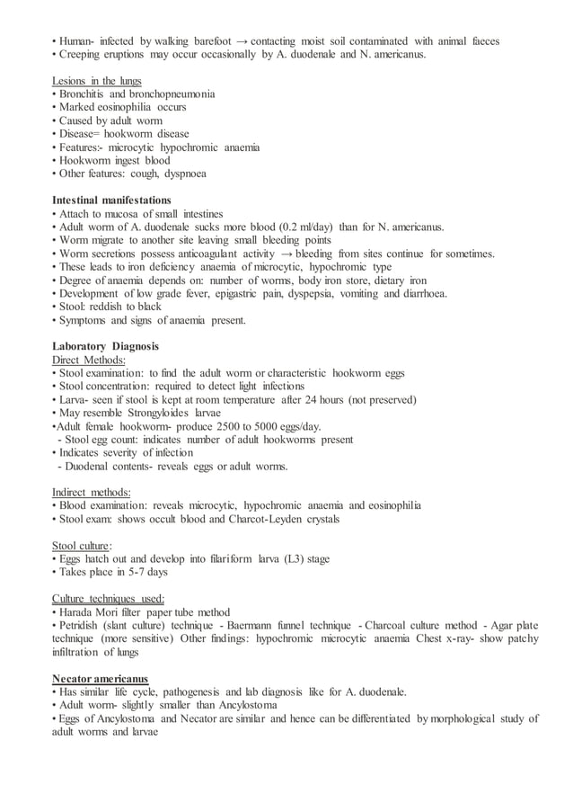 Hookworm Infestation Docx