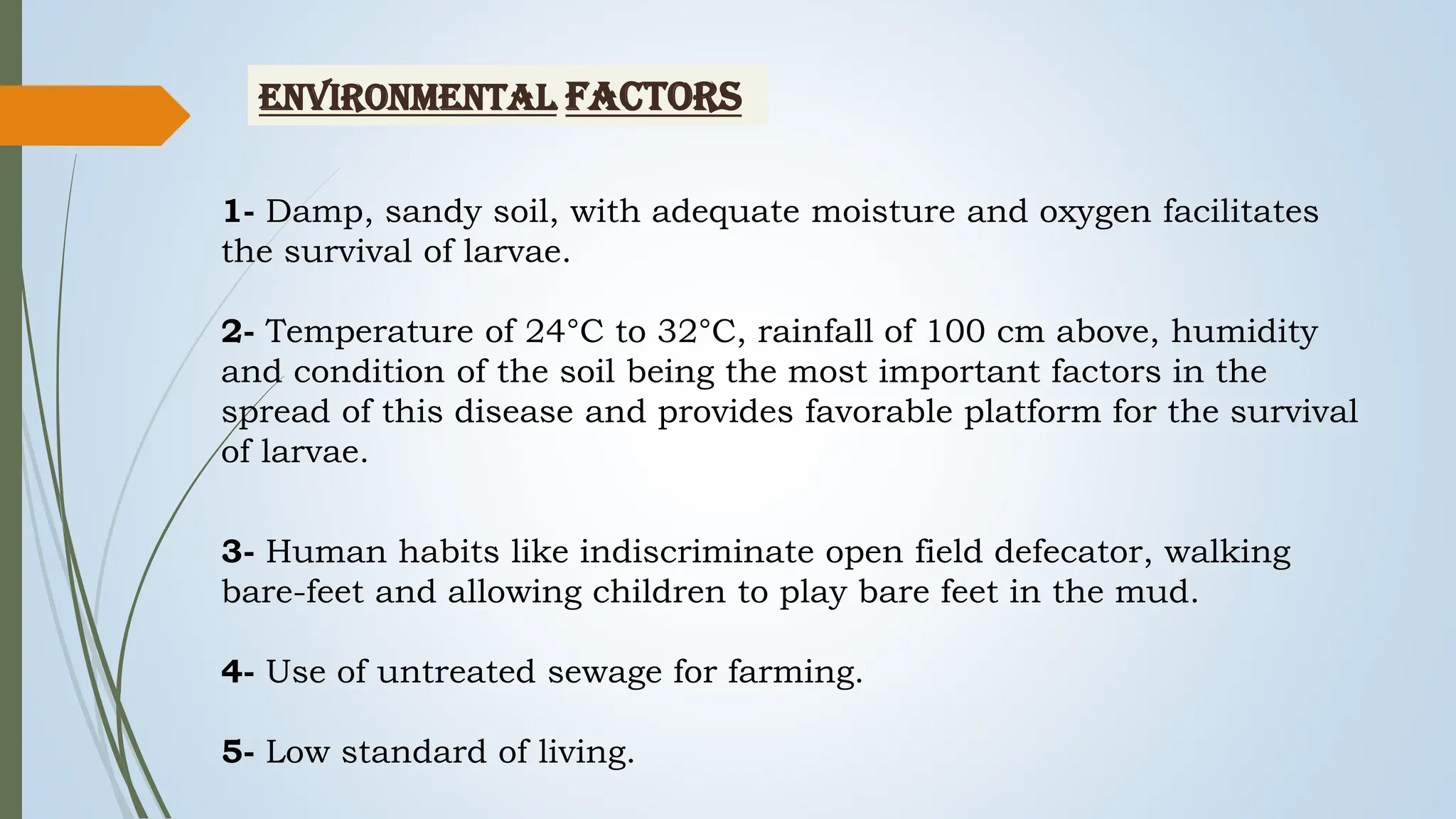 Slide to define about Hookworm infestation | PDF