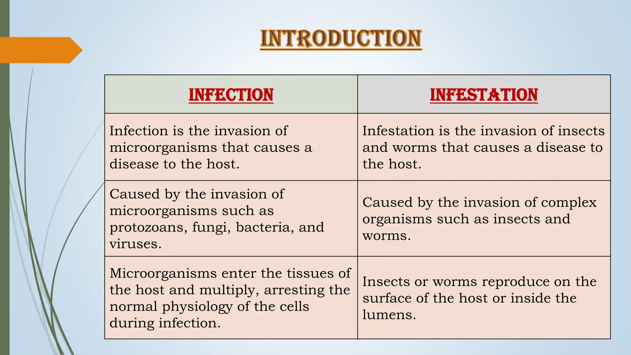 Slide to define about Hookworm infestation | PDF