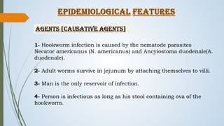 Slide to define about Hookworm infestation | PDF
