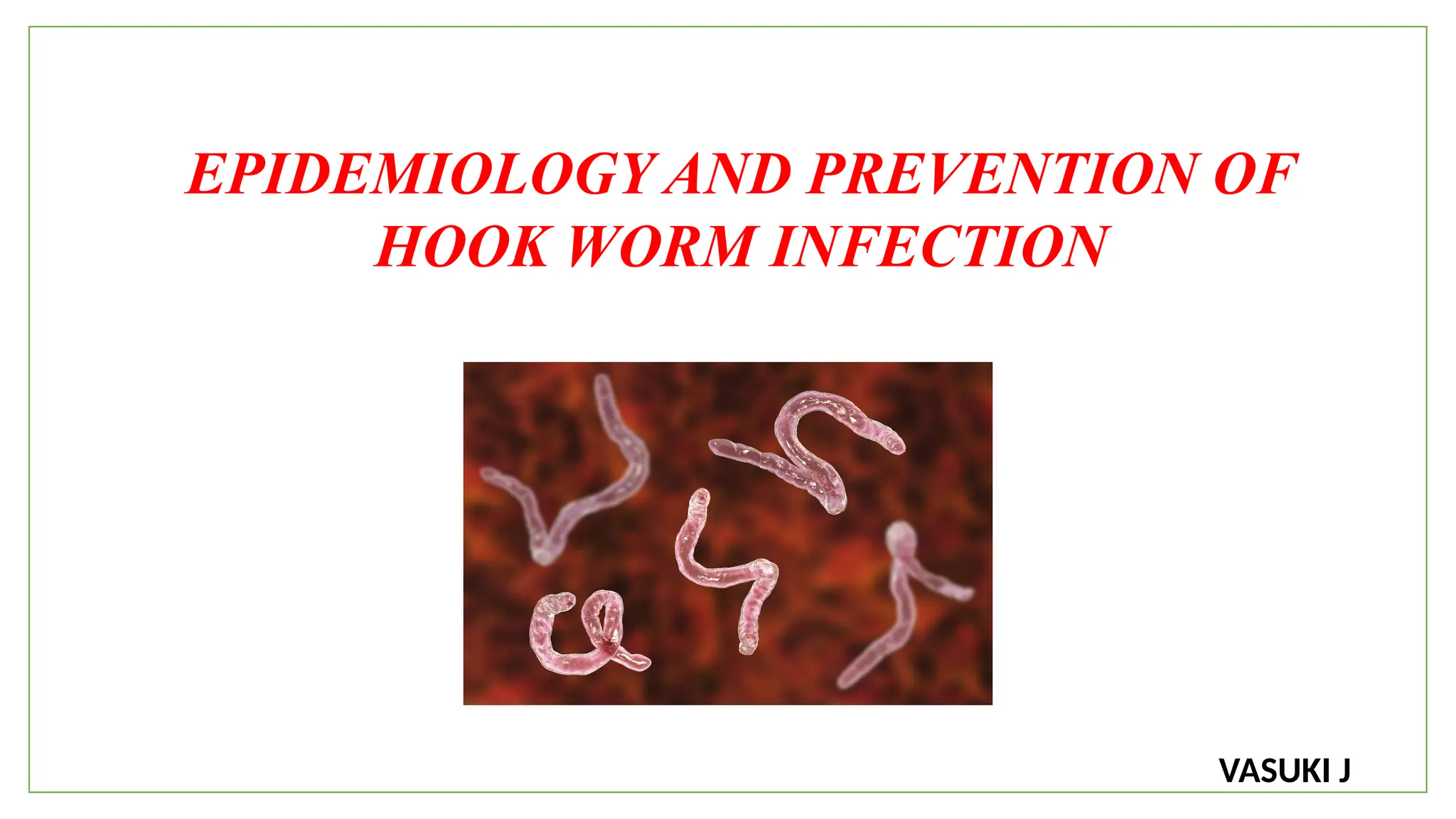 hookworm epidemiology and levels of prevention | PPTX
