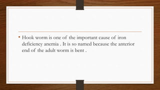 Hook worms | PPTX