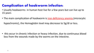 Hookworms | PPTX