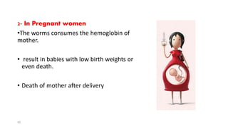 Hookworms | PPTX