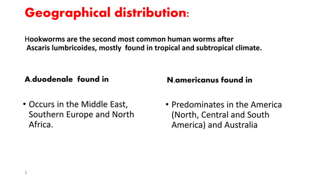 Hookworms Pptx Digestive Disorders Diseases And Conditions