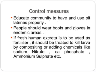 HOOK WORMS AND ASCARIASIS, medical Surgical Nursing course | PPT