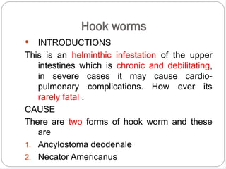 HOOK WORMS AND ASCARIASIS, medical Surgical Nursing course | PPT