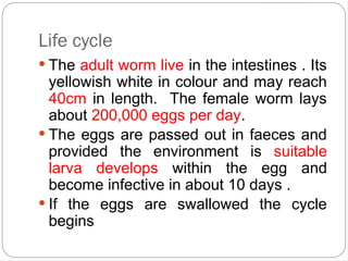 HOOK WORMS AND ASCARIASIS, medical Surgical Nursing course | PPT