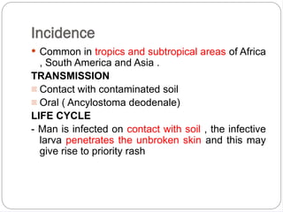 HOOK WORMS AND ASCARIASIS, medical Surgical Nursing course | PPT