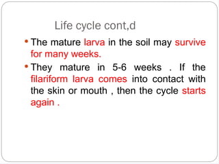 HOOK WORMS AND ASCARIASIS, medical Surgical Nursing course | PPT
