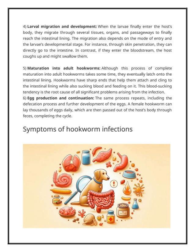 Hookworms in Dogs: A Complete Treatment Guide.docx