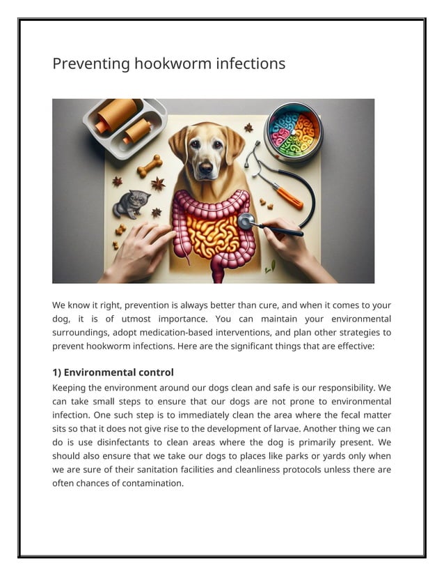 Hookworms in Dogs: A Complete Treatment Guide.docx