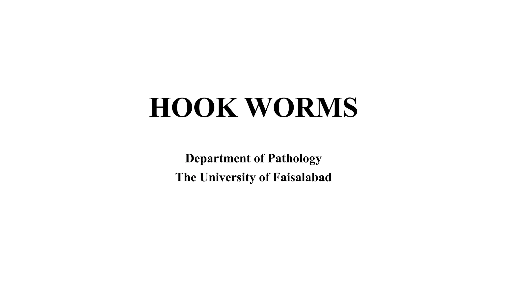 HOOK WORMS L17 in parasitology (medical lab sciences) .pptx