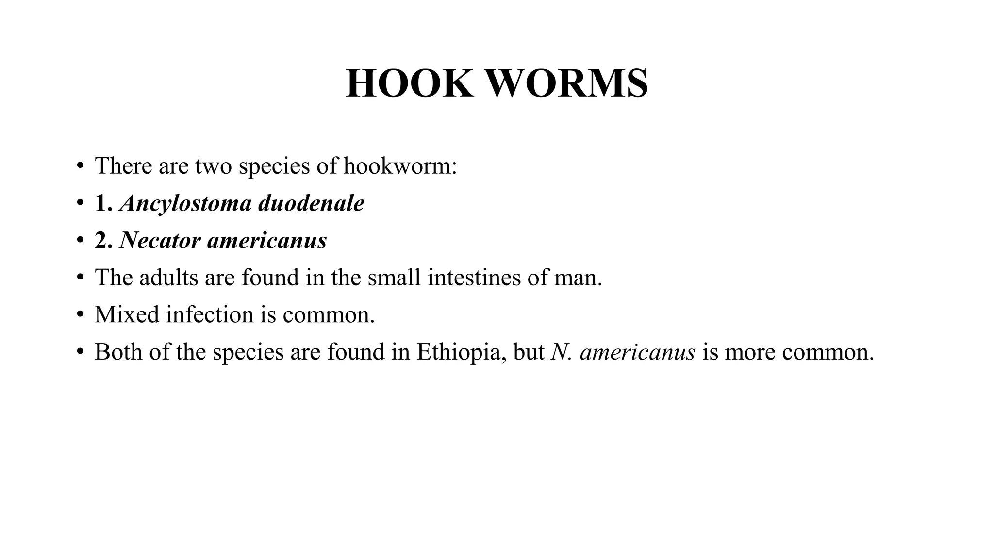 HOOK WORMS L17 in parasitology (medical lab sciences) .pptx