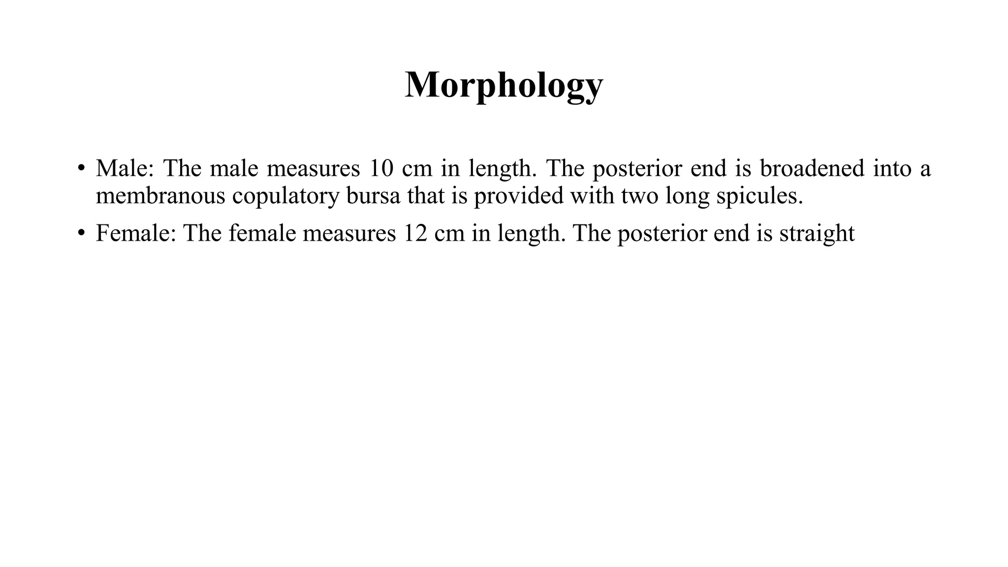 HOOK WORMS L17 in parasitology (medical lab sciences) .pptx