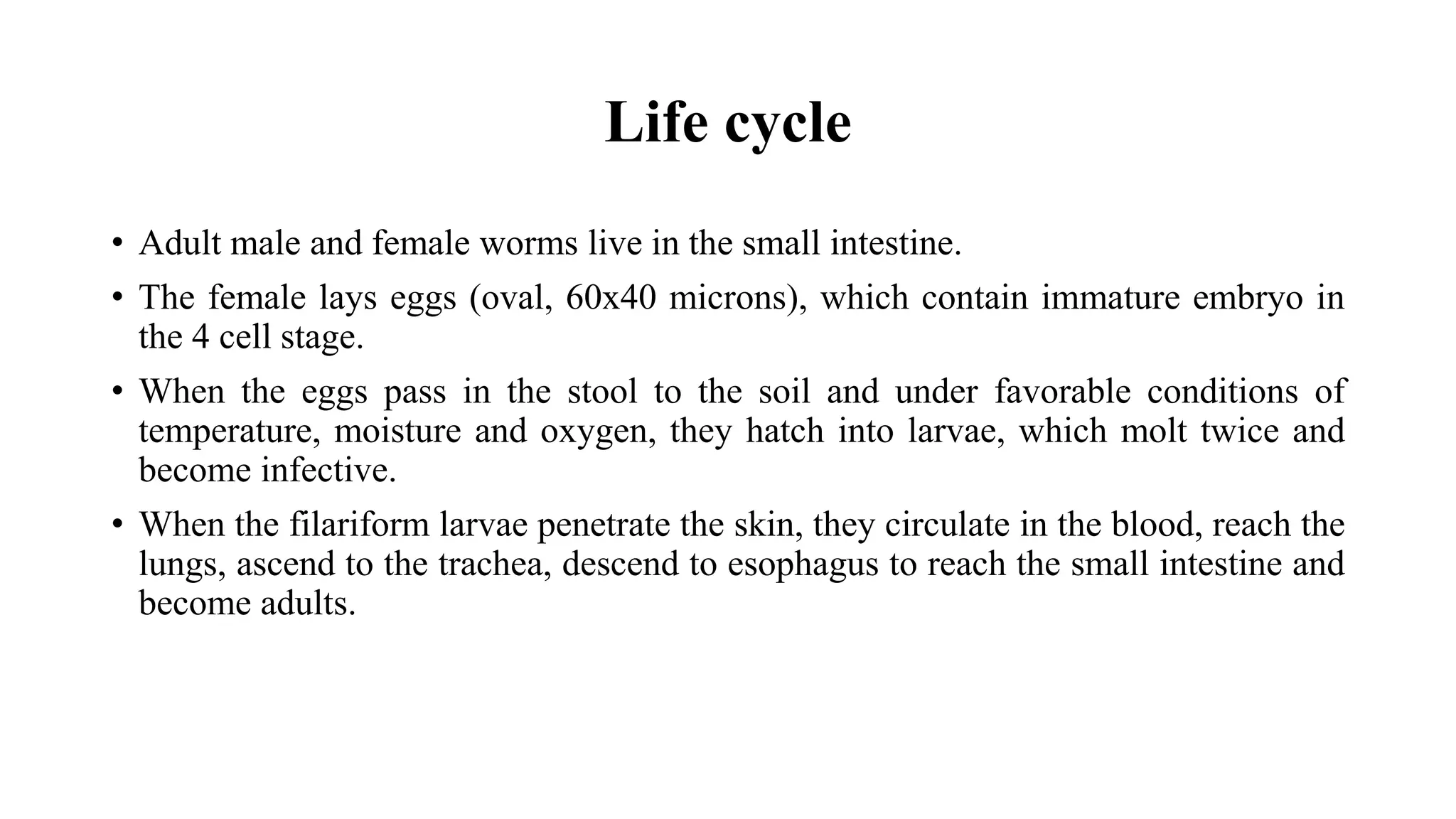 HOOK WORMS L17 in parasitology (medical lab sciences) .pptx