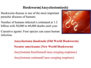 Hookworm infection | PPT