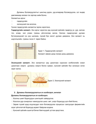 Hool uildverleliin tehnologi lekts 2 | DOCX