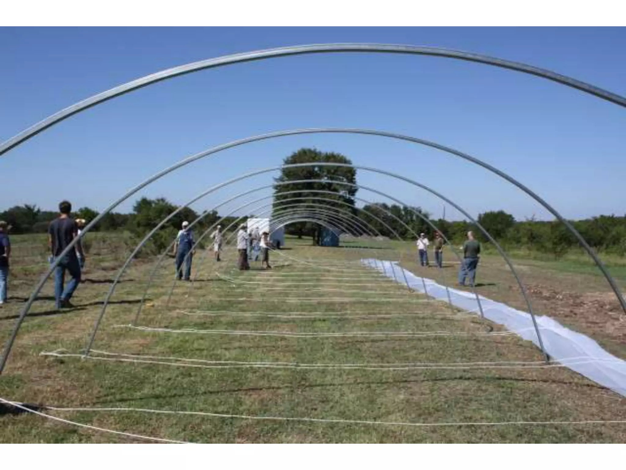 How to Build a Hoophouse, Part 3 (attaching ropes,standing the hoops) | PDF