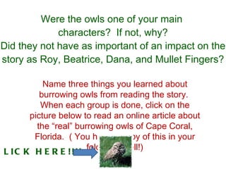 Hoot multiresource presentation | PPT