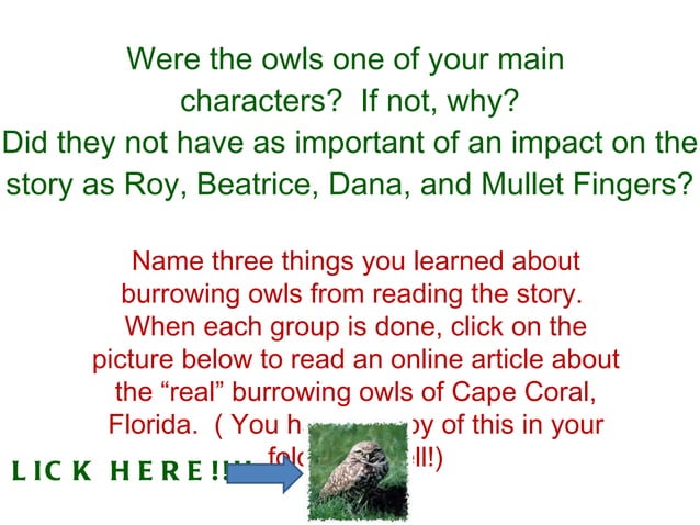 Hoot multiresource presentation | PPT