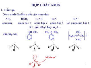 Hop chat amin | PDF
