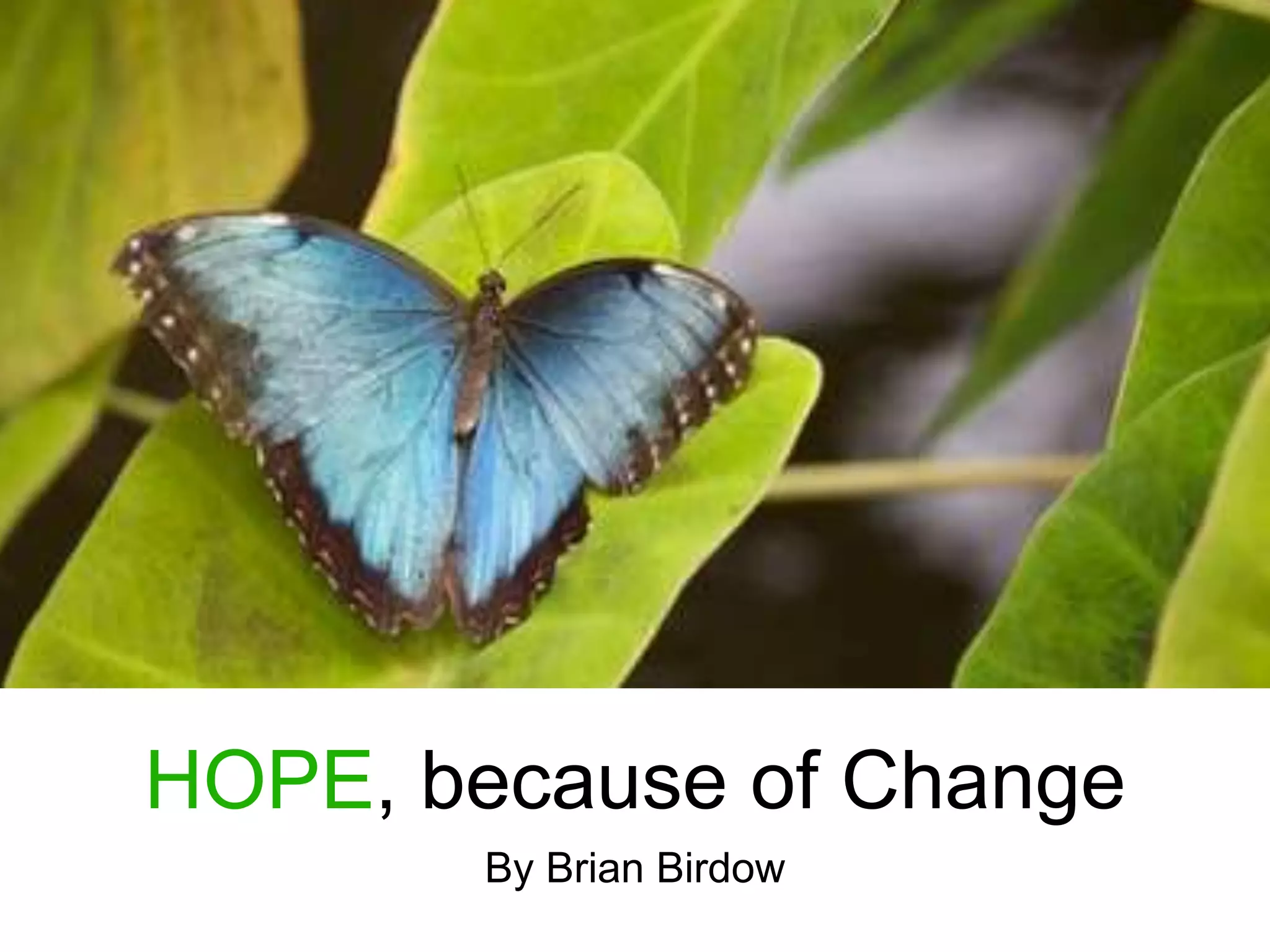 Hope, becasue of change | PPT