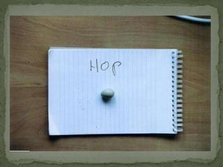 Hop powerpoint | PPT