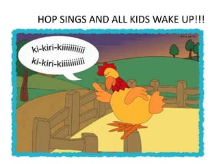 Hop the cock | PPT