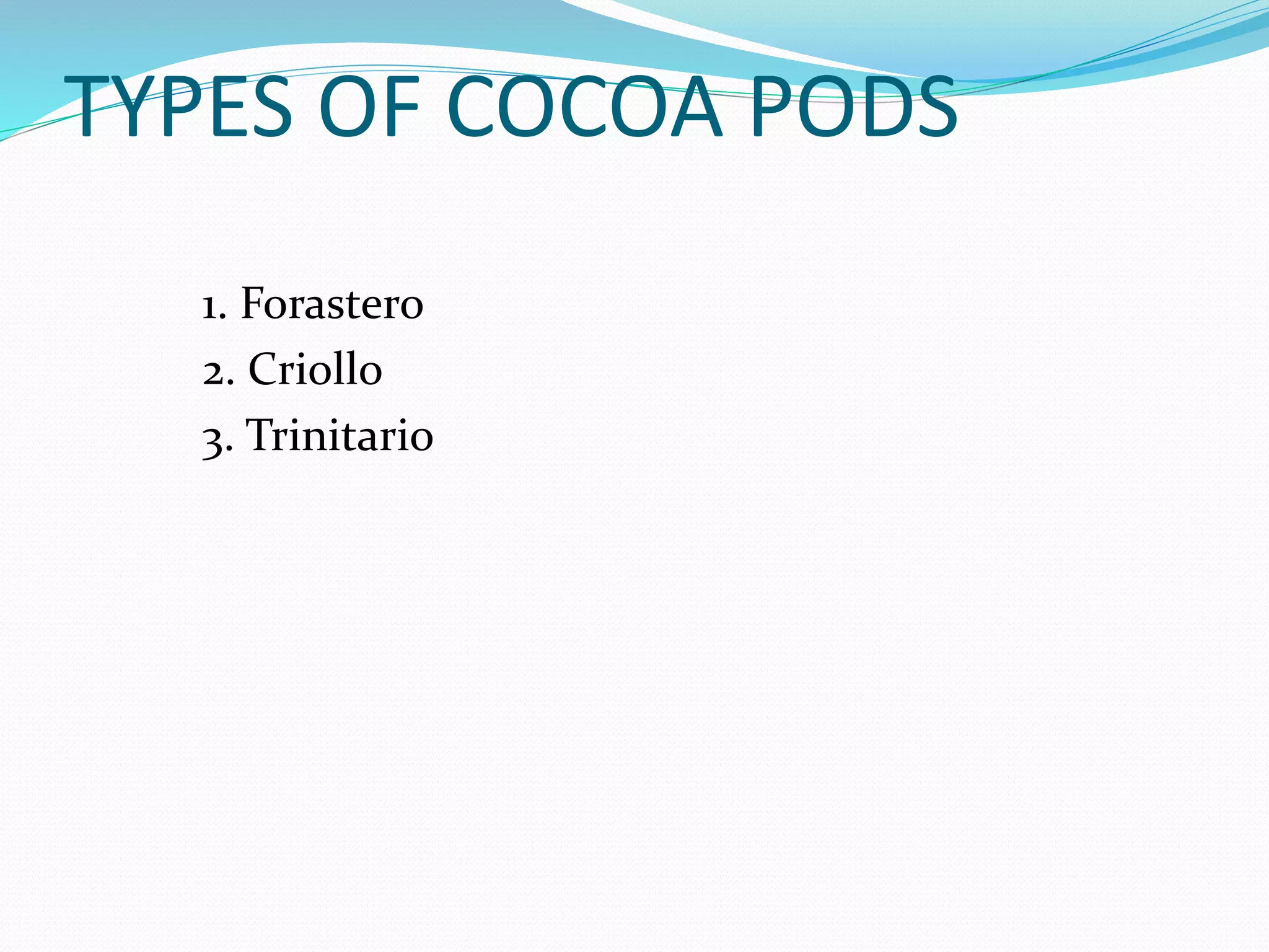 cocoa processing | PPTX