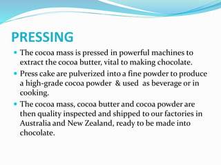 cocoa processing | PPTX