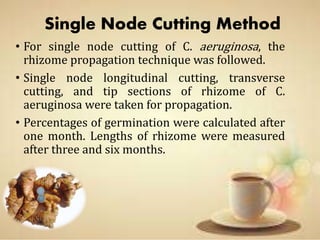 Single Node Technique | PPT