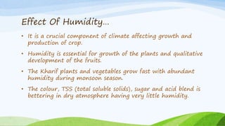 Effect of Wind, Humidity and Rainfall on the Growth and Development of ...