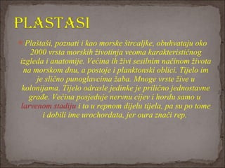 Hordati by t.a | PPT