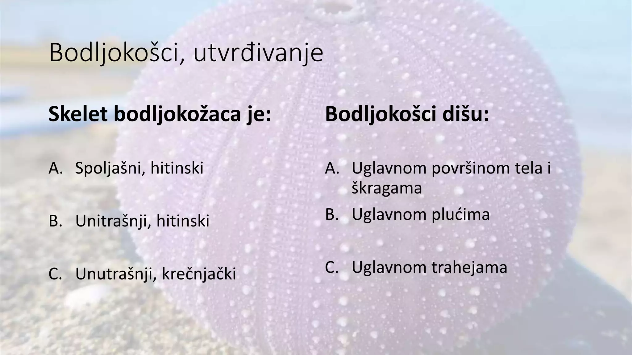 Hordati, uvodno predavanje, 6. razred | PPTX