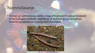 Hordati, uvodno predavanje, 6. razred | PPT