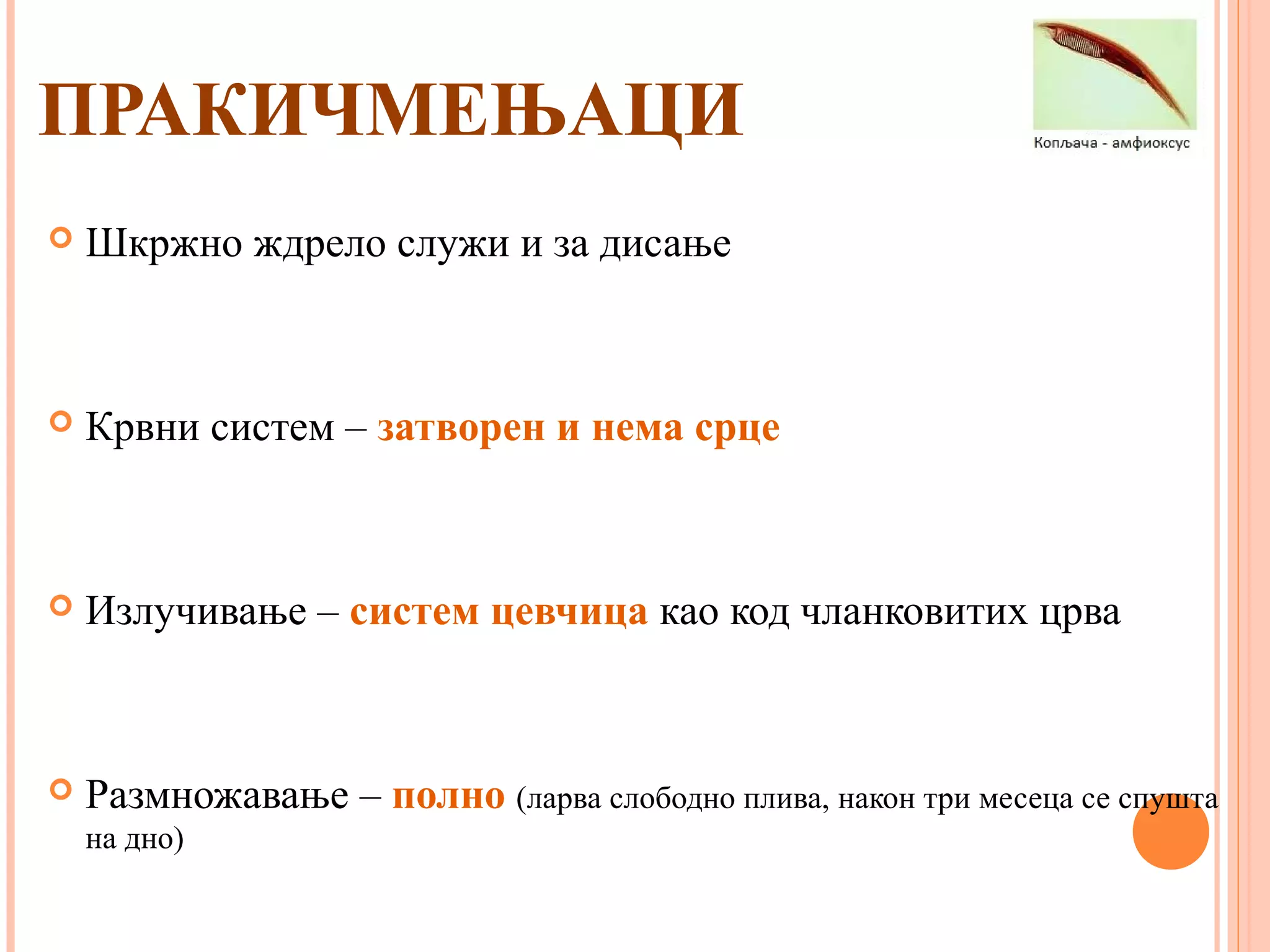 Hordati | PPT
