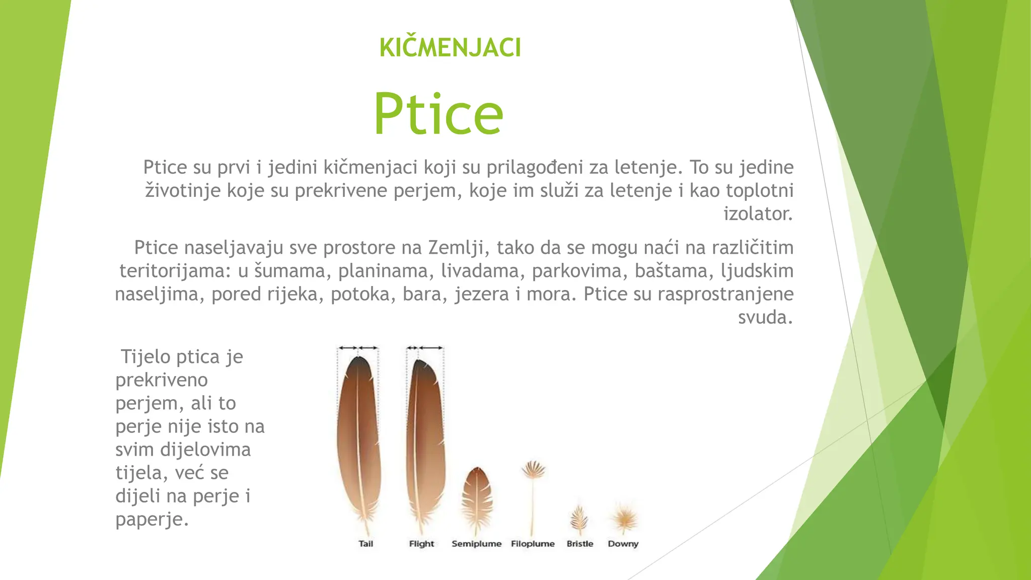 biologija sedmi razred_HORDATI prezentacija.pptx