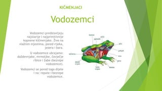 biologija sedmi razred_HORDATI prezentacija.pptx