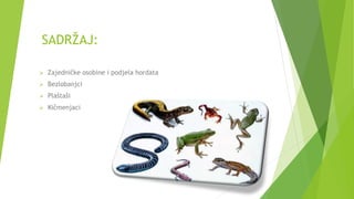 biologija sedmi razred_HORDATI prezentacija.pptx