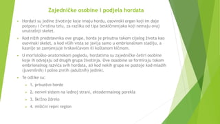 biologija sedmi razred_HORDATI prezentacija.pptx