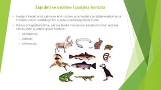 biologija sedmi razred_HORDATI prezentacija.pptx