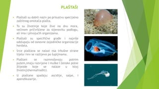 biologija sedmi razred_HORDATI prezentacija.pptx