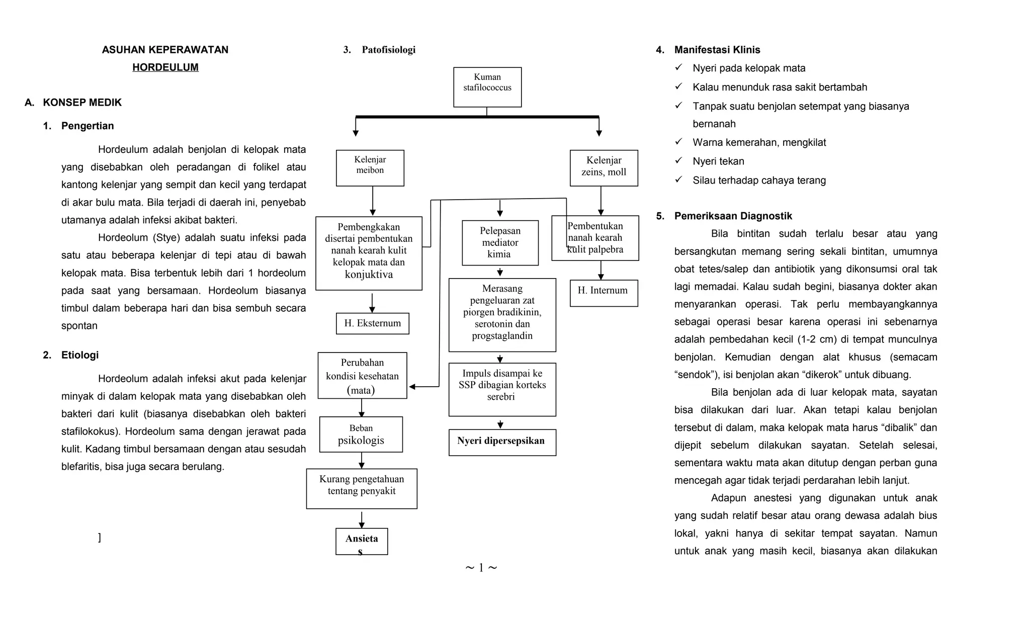 Hordeulum kecil | DOC