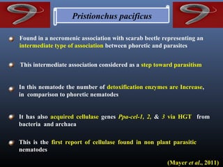 Horizantal gene transfer in evolution of nematodes | PPT