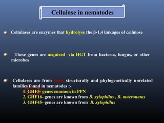 Horizantal gene transfer in evolution of nematodes | PPT