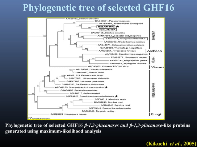 Horizantal gene transfer in evolution of nematodes | PPT