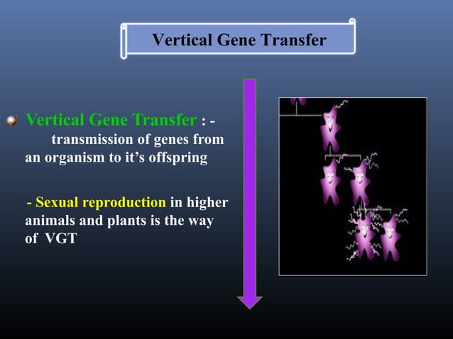 Horizantal gene transfer in evolution of nematodes | PPT