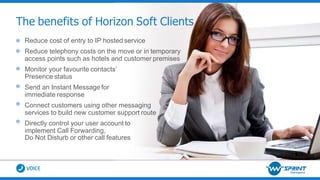 Horizon Guide | PPT