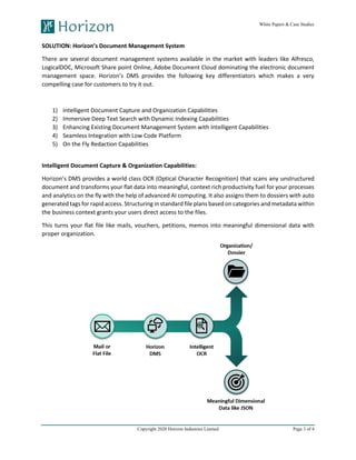 Horizon DMS White Paper | PDF